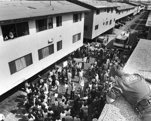 PCP capital of the world — Calisphere