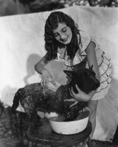 Dog show — Calisphere