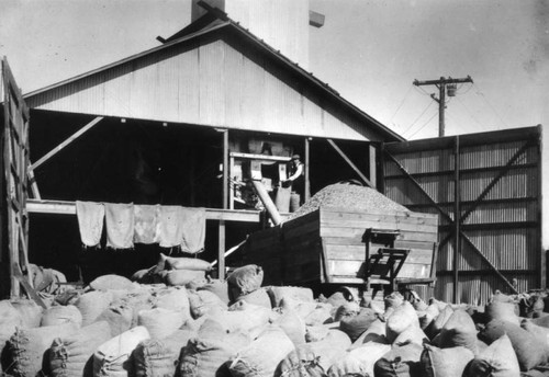 Peanut hulling mill — Calisphere