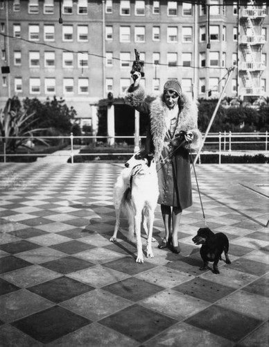 Dog show — Calisphere