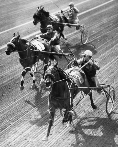 Sulkies are back — Calisphere