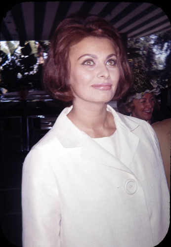 Sophia Loren at the Beverly Hills Hotel — Calisphere