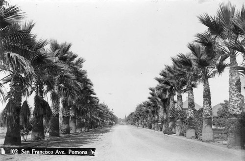San Francisco Avenue, Pomona — Calisphere
