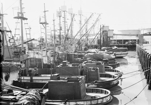 Fish Harbor fishing boats — Calisphere