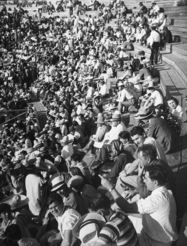 Bullfight spectators, El Toreo de Tijuana — Calisphere
