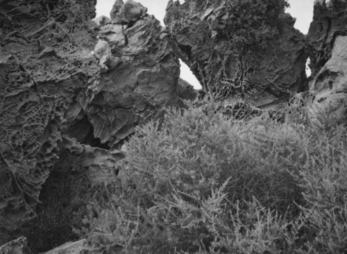 Rock formation in Corona del Mar — Calisphere