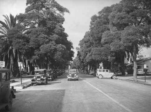 Tree lined street in Huntington Park — Calisphere