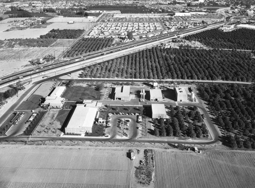 Crescent Way, Muller Street and Santa Ana Freeway, looking east ...