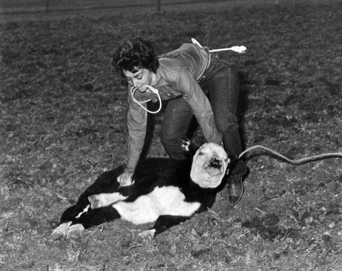 Pierce College rodeo set for final rounds today — Calisphere