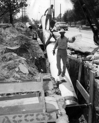 Delicate situation — Calisphere