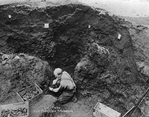 Man working in excavation of tar pit — Calisphere