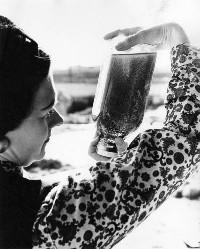 Rusty brown water — Calisphere