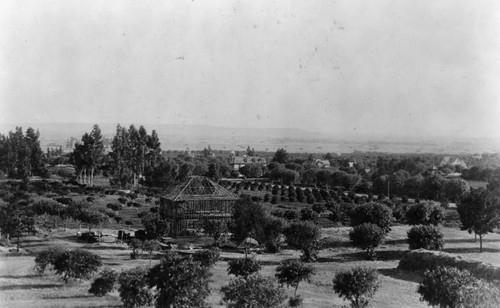 Hollywood panorama — Calisphere