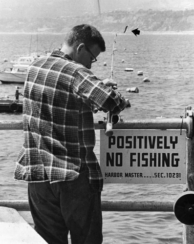 Notice something funny — Calisphere