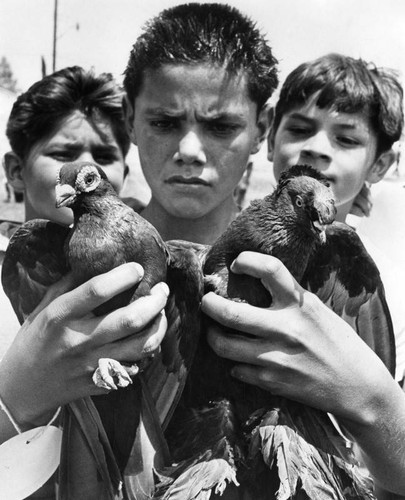 Two handfulls — Calisphere