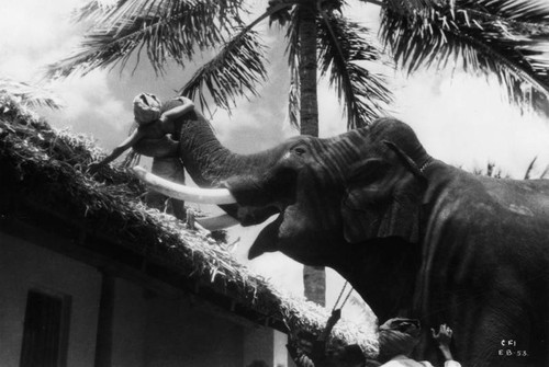 Sabu in "Elephant Boy" — Calisphere