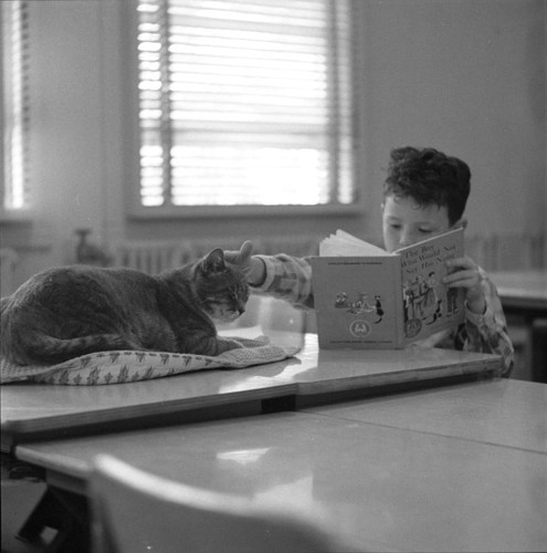 Elysian Heights Elementary School cat Room with student reading ...