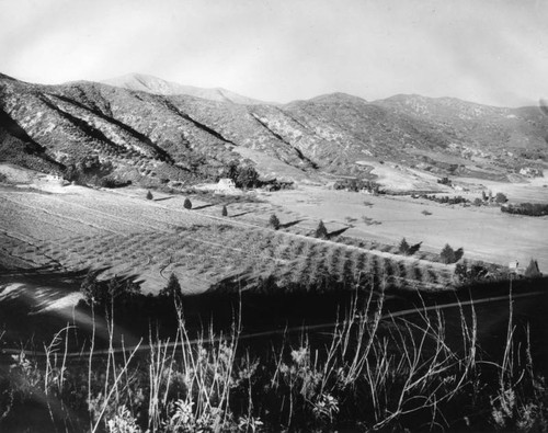 Panoramic view of Eagle Rock, view 7 — Calisphere