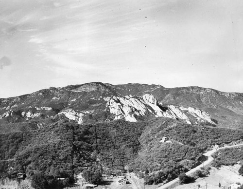 Fossil bearing cliff of Topanga formation — Calisphere