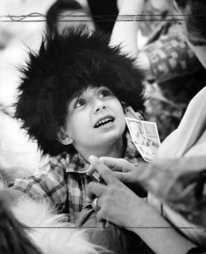 Wig hunting... is a heady experience — Calisphere