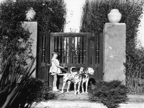 Dog show — Calisphere