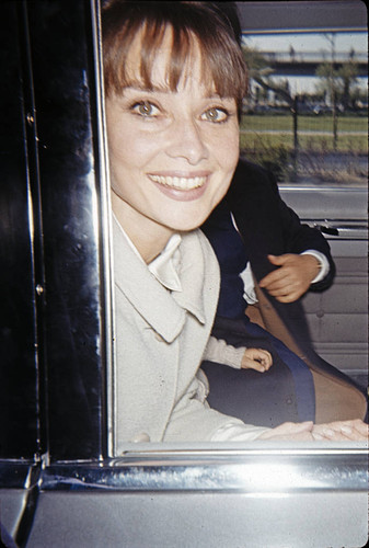 Audrey Hepburn in New York City — Calisphere