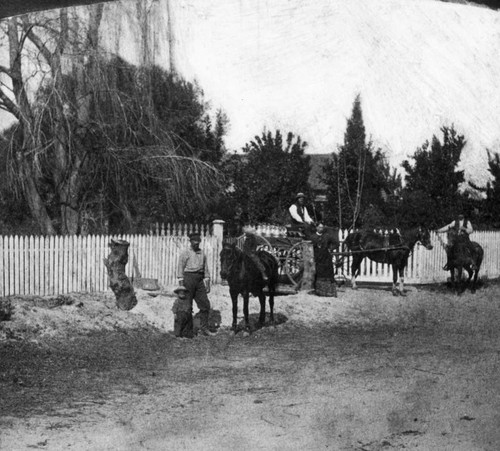 Haas Ranch — Calisphere