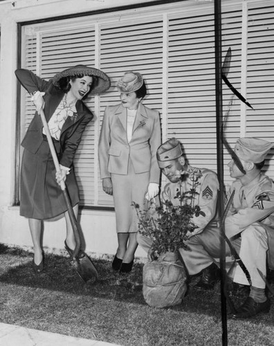 Greer Garson, planting Miniver rose bush — Calisphere
