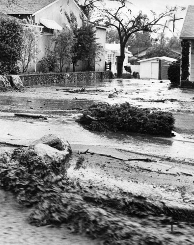 Backyards ruined — Calisphere