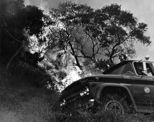 Griffith Park fire burns 150 acres close to zoo — Calisphere