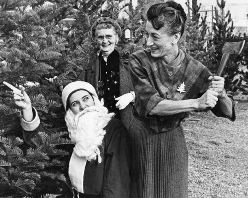 Santa picks out tree — Calisphere