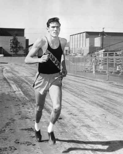 Stalwart Tigers tune up for '58 — Calisphere