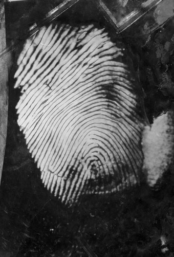 Fingerprint found on car, Parker case — Calisphere