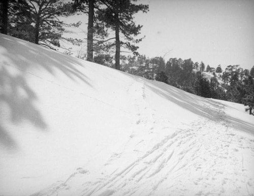 Big Pines Recreation Camp, path through the snow — Calisphere