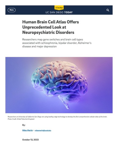 Human Brain Cell Atlas Offers Unprecedented Look at Neuropsychiatric ...