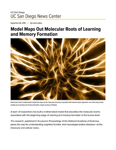 Model Maps Out Molecular Roots of Learning and Memory Formation ...