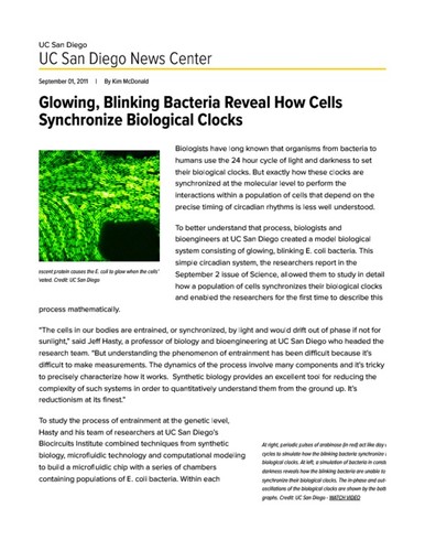 Glowing, Blinking Bacteria Reveal How Cells Synchronize Biological ...