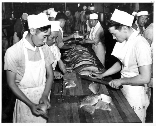 Fish preparation — Calisphere