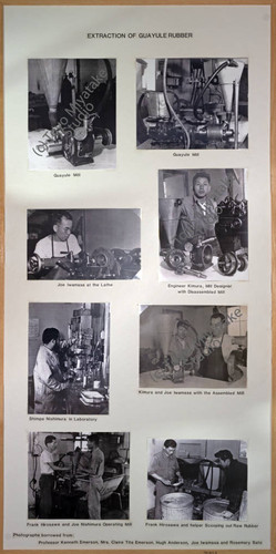 Extraction of guayule rubber — Calisphere