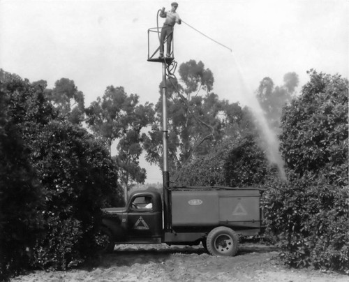 Spray rig in orange groves, Tustin, ca. 1950 — Calisphere
