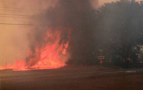 Santiago Fire, Modjeska Canyon — Calisphere