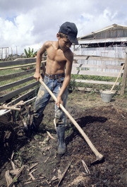 David Chaikin in Garden, Jonestown, Guyana — Calisphere
