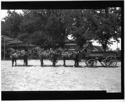 Wagons-Stockton-Stockton State Farm horsedrawn wagon — Calisphere