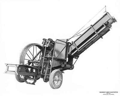 Harvesting Machinery - Stockton: Marbeet Beet Harvester — Calisphere