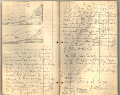 April 1875 [Journal 19]: Glaciers, Dead Rivers, Sketches, Shasta Storms ...