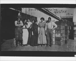 Packing apples in Graton, California, 1910 — Calisphere