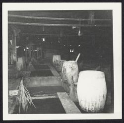 Tanning vats and tanned hides hanging greased and drying at the Santa ...