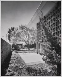 Two people enjoying the library courtyard — Calisphere