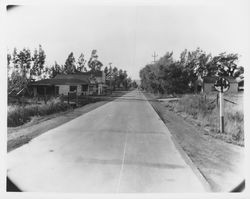 Schellville, California, looking west on Highway 12 — Calisphere