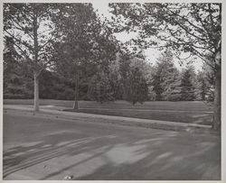 Juilliard Park, Santa Rosa, California, October 22, 1953 — Calisphere
